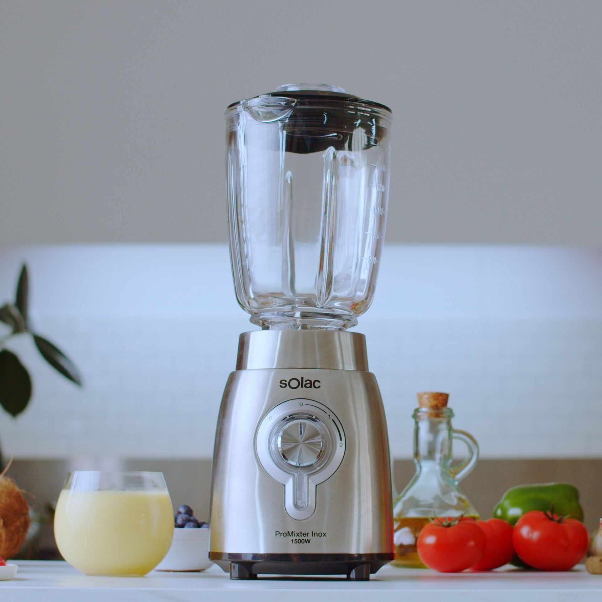 Batidora de vaso Pro Mixter Inox 1500W – sOlac