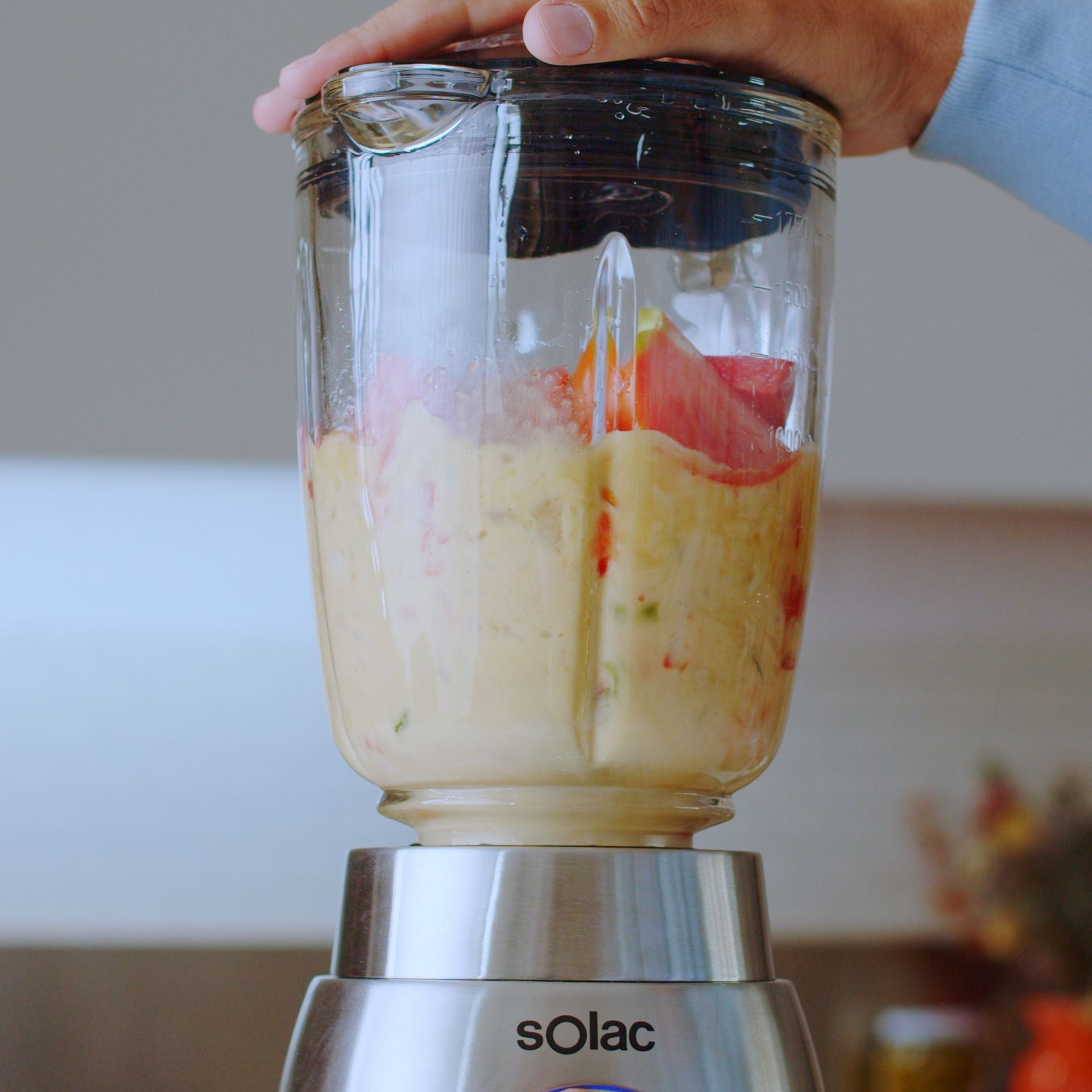 Batidora de vaso Pro Mixter Inox 1500W – sOlac